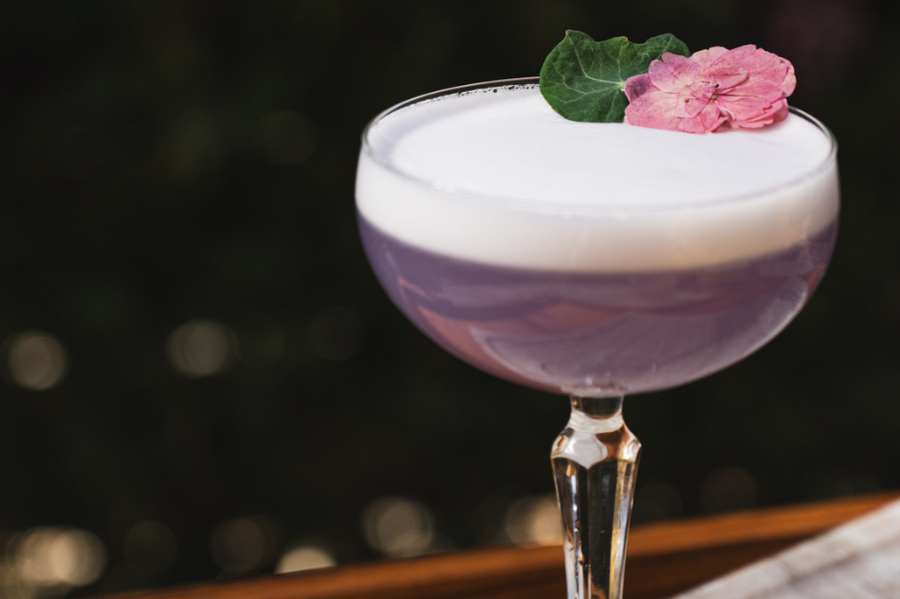 Simple Gin Cocktail Recipes with Conniption Gin